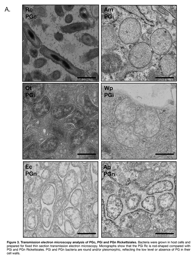 RESEARCH – SALJE LAB