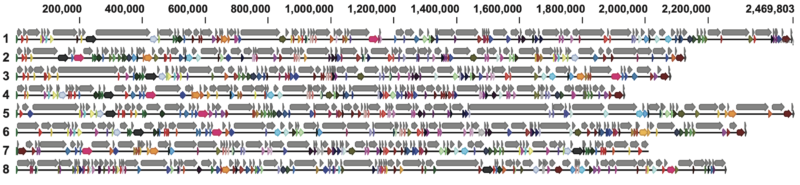 RESEARCH – SALJE LAB